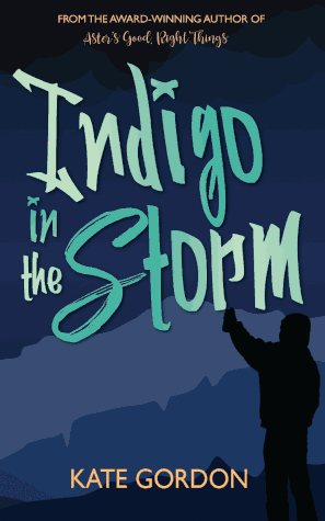 Indigo in the Storm – Kate Gordon